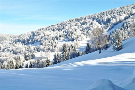 눈 겨울 추운 Pixabay의 무료 사진 Pixabay