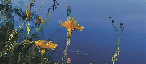 Educating For Future S A Speculative Design Approach • Portfolio