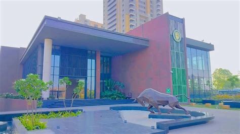 Jeel Jethava On Linkedin My First Job At Junomoneta Finsol Pvt Ltd