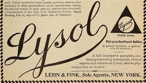 Does Lysol Kill Roaches The Facts And Results School Of Bugs