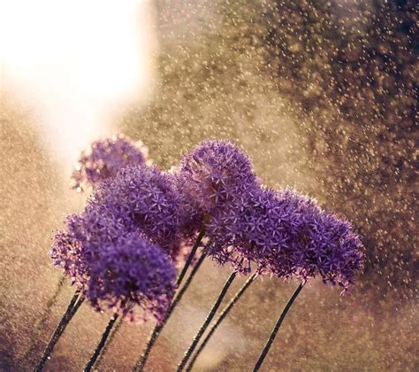 혼자 글쓰는 여자 Band Page