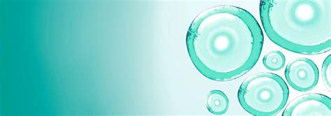 Donor Eggs Inquiry Island Reproductive Services