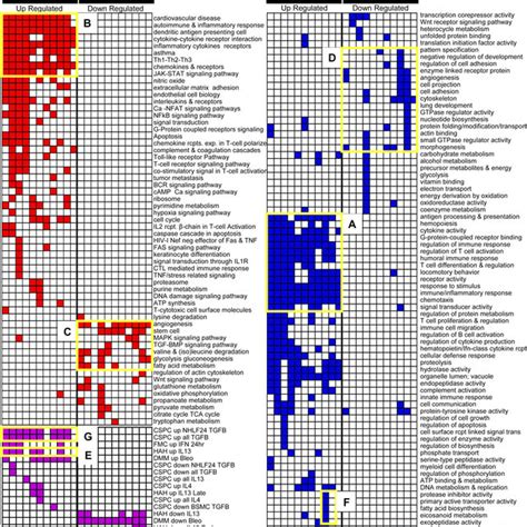 Gene Expression Compendium Dataset Sources And Signature Names Download Scientific Diagram