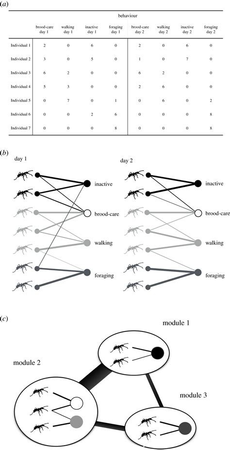 Individual Behaviour Relationship As A Bipartite Network An Adjacency
