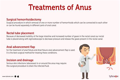 Anus Human Anatomy Picture Function Diseases Tests And Treatments