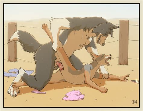 Rule 34 Anthro Balls Blood Border Canid Canine Canis Clothing Collie