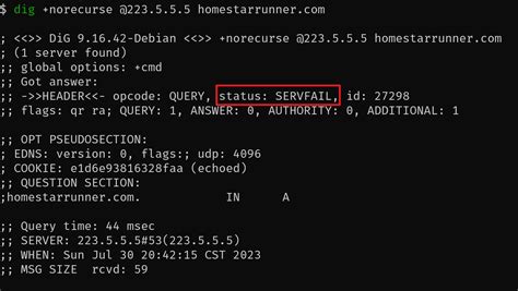 DNS问题排查思路 Halcyon Zone