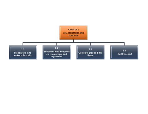 2 cell structure and function mind map chapter 2 cell structure and