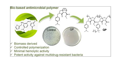 Antimicrobial Polymer Via Romp Of A Bioderived Tricyclic Oxanorbornene Lactam Derivative Acs