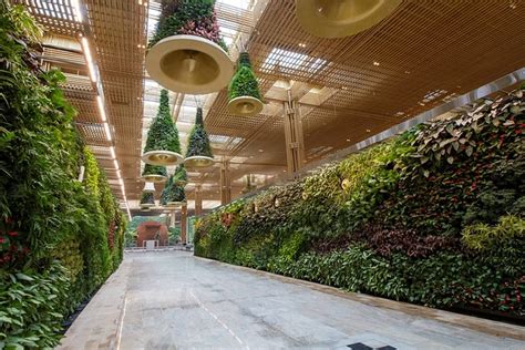 Indoor Bamboo Solutions In Kempegowda Airport From Moso® Bamboo