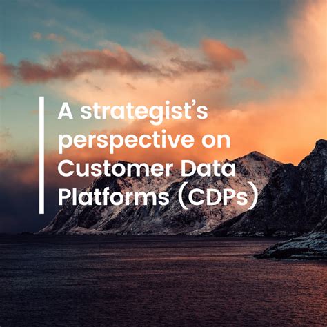 a strategist s perspective on customer data platforms cdps avaus