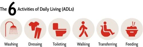 6 Adl