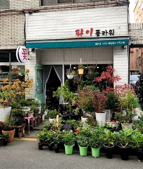 문정동 꽃집 가성비 좋은 파이 플라워 네이버 블로그