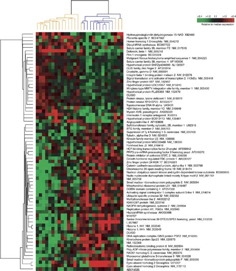 Hierarchical Cluster Analysis Of Pretreatment Tumour Samples Using The Download Scientific