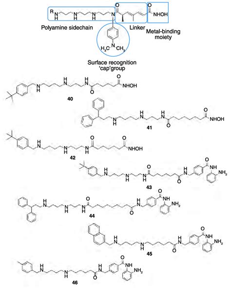 General Structure For Polyamine Based Hdac Inhibitors And Selected