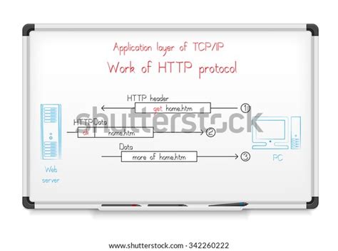 Computer Networks Application Layer Tcpip Networking Stock Vector