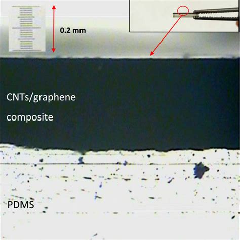 Fabrication Process Of The Stretchable And Compressible Strain Sensors
