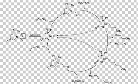 Shell Higher Olefin Process Alkene Alpha Olefin Linear Alpha Olefin Olefin Metathesis Png