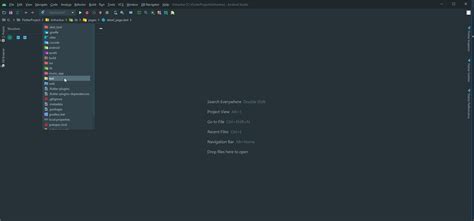Android Studio Doesn T Show Flutter Project Structure Stack Overflow