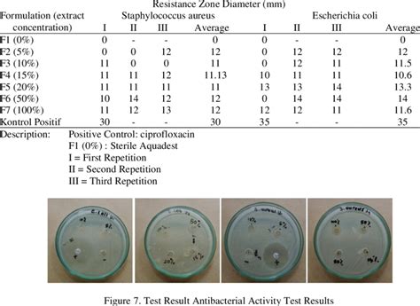 Average Observation Results Effect Of Fermented Extract Concentration