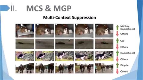 T Cnn Tubelets With Convolutional Neural Networks For Object Detection