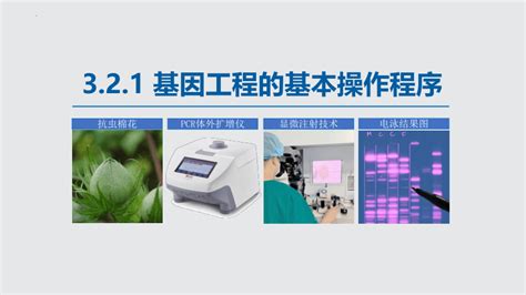 生物 基因工程的基本操作程序课件 共41张ppt人教版选择性必修3 课件下载预览 二一课件通