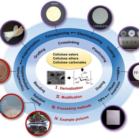 Schematic Diagram Of Nips And Tips Process Download Scientific Diagram
