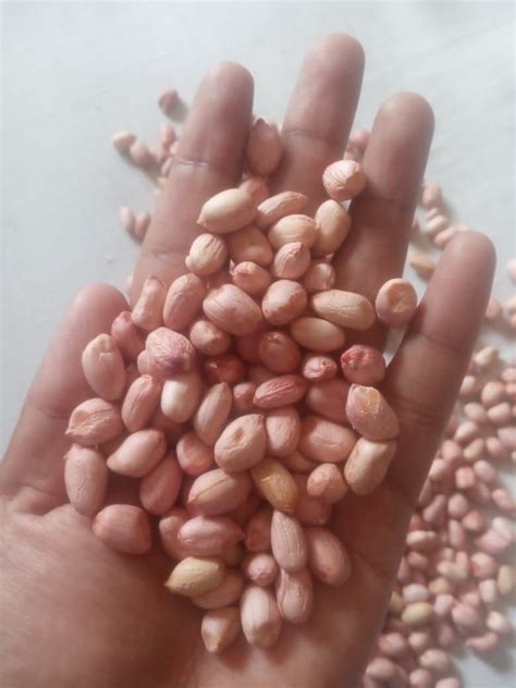 Alpesh Hirani On Linkedin Indian Origin Bold Java Tj Peanuts Are