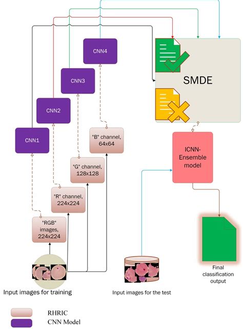 Graphical Illustration Of Proposed Methodology Images From Malaria Download Scientific