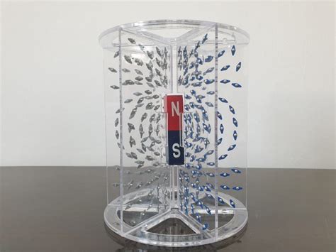 הדגמת שדה מגנטי במגנט מוט דגם תלת מימדי גדול ושקוף ש רובינשטיין