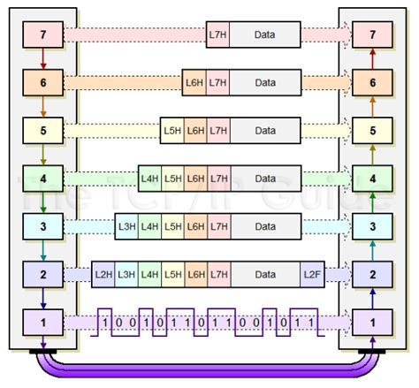 Data Link Layer Encapsulation At James Northern Blog