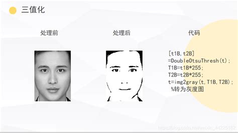 Matlab 人脸识别人脸识别原理matlbab Csdn博客