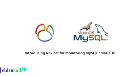 Introducing Navicat For Monitoring Mysql Mariadb Eldernode Blog