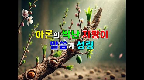 아론의 싹난 지팡이 말씀과 성령 Youtube