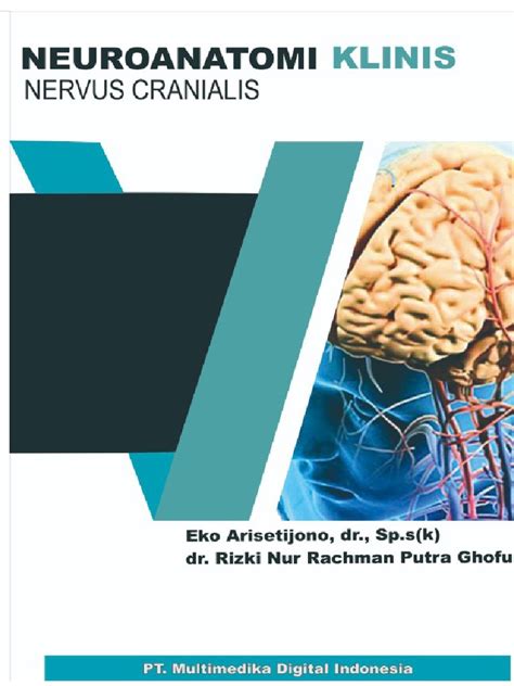 Nervus Cranialis Pdf