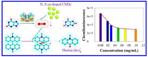 Antioxidant Capacity Of Nitrogen And Sulfur Codoped Carbon Nanodots Pmc