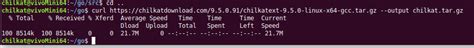 Getting Started With Chilkat Go On Ubuntu Linux Chilkat Tech Notes