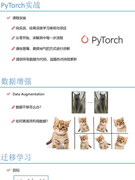 py torch pdf