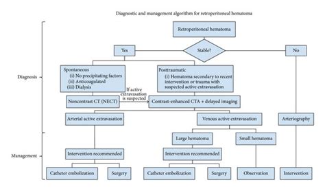Diagnostic Algorithm For Evaluation Of A Retroperitoneal Hematoma