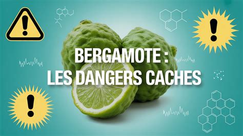 Les Dangers Méconnus De La Bergamote Et Les Précautions À Prendre