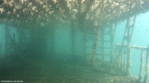 Merged Dataset Object Detection Dataset By Fish OD