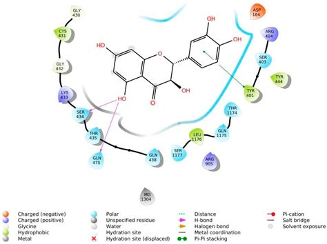 Insights Into The Pharmacological Effects Of Flavonoids Encyclopedia MDPI