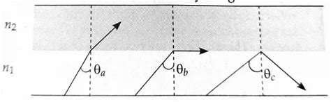 Latest Light Reflection And Refraction Mcq Assertion Cl10