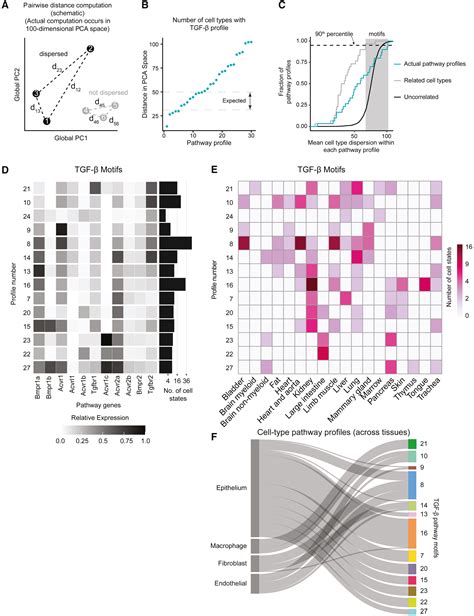 combinatorial expression motifs in signaling pathways cell genomics