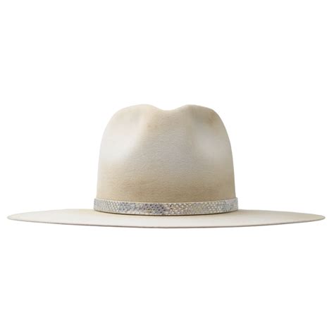 Python Hat Band
