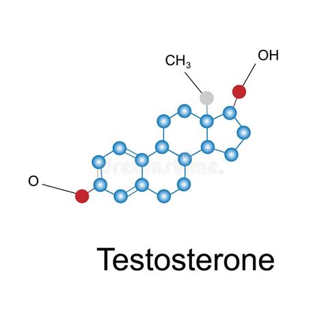 Ejemplo De La Fórmula De La Testosterona Ilustración Del Vector Ilustración De Esteroide