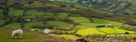 Landowners Electronic Comms Code Appeal At Upper Tribunal Allowed