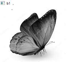 GitHub AnjaliNaik IMAGE PROCESSING LAB