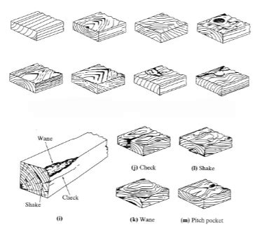 Defects In Wood Wood Defects Glossary Qcgd