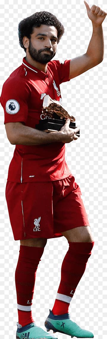 리버풀 풋볼 클럽 로고 리버풀 Fc에버턴 Fc프리미어 리그 풋볼 브라이 턴 And 호브 앨 비언 Fc 프리미어 리그 상징 상표 본문 Png Pngwing